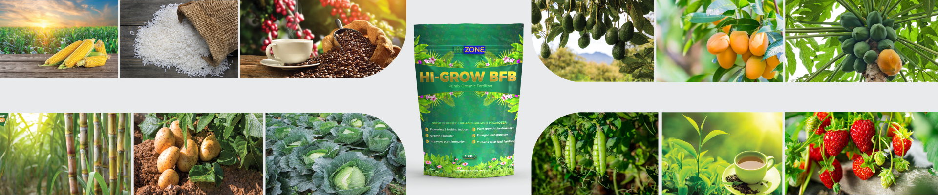 Organic Foliar Fertilizer (HiGrow BFB) - Biozone Kenya